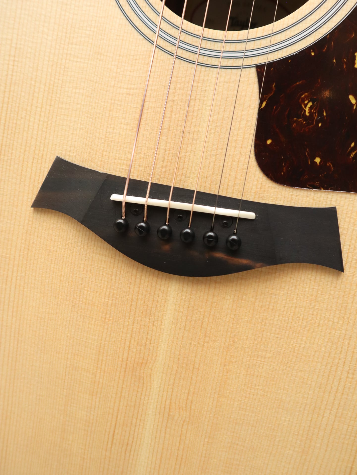 Taylor 214 CE - Kauffmann's Guitar Store