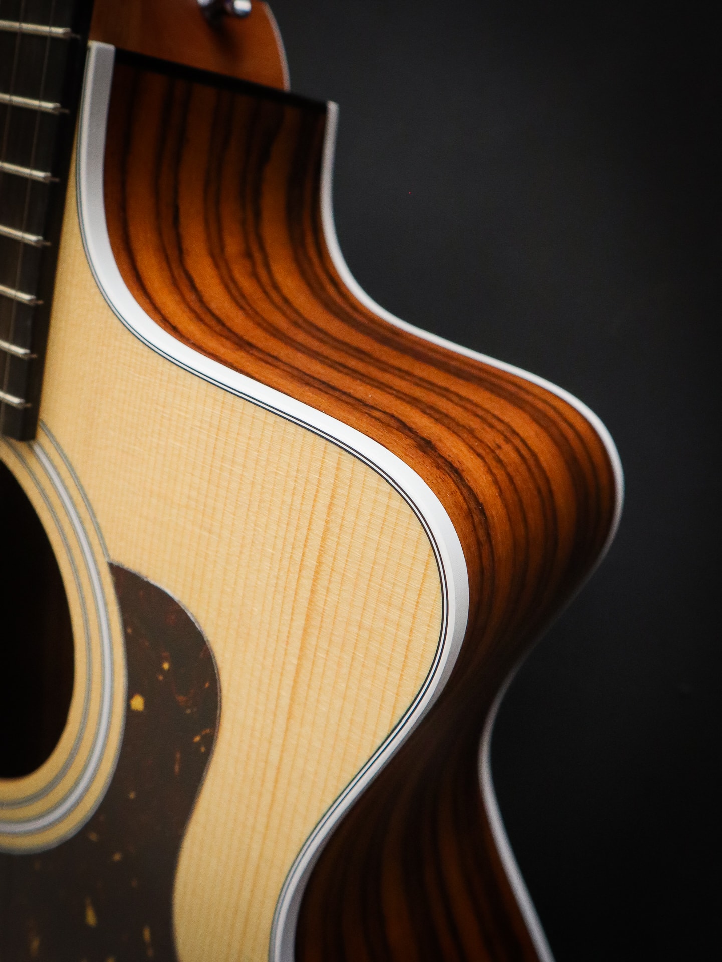 Taylor 214 CE - Kauffmann's Guitar Store