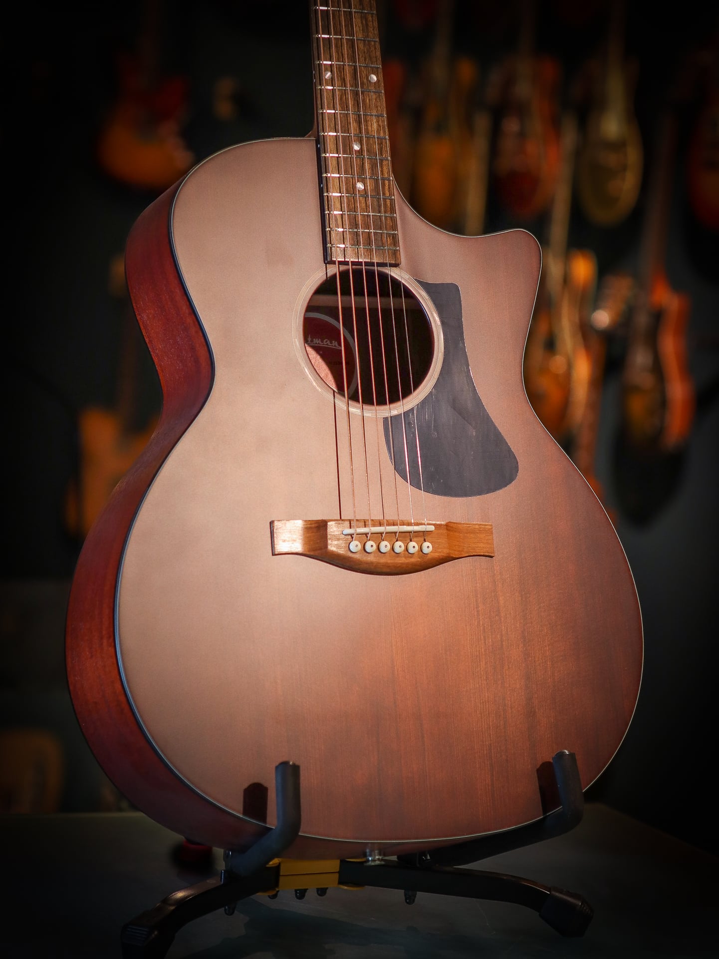 EASTMAN GUITARS - Kauffmann's Guitar Store